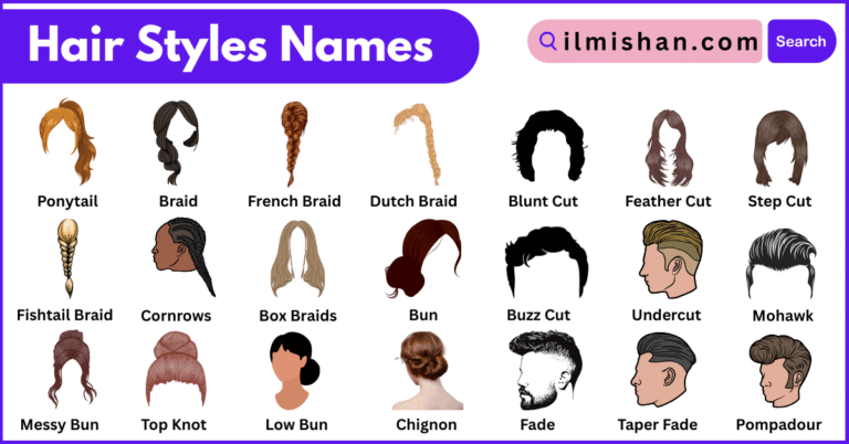 80 Different Types of Hair Styles Names in English with Pictures