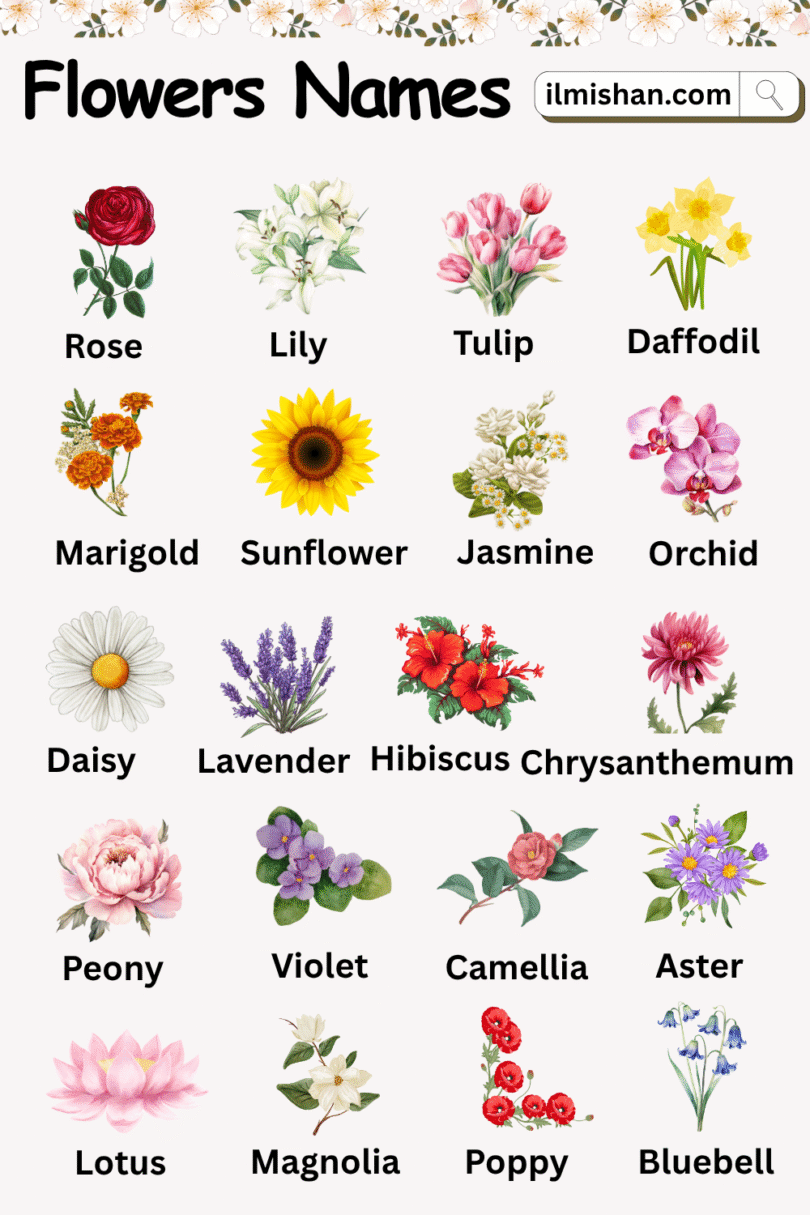 80 Flowers Names in English and their Pictures