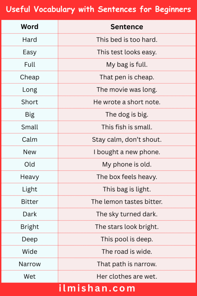 100 Vocabulary words with Sentences in English and Pictures